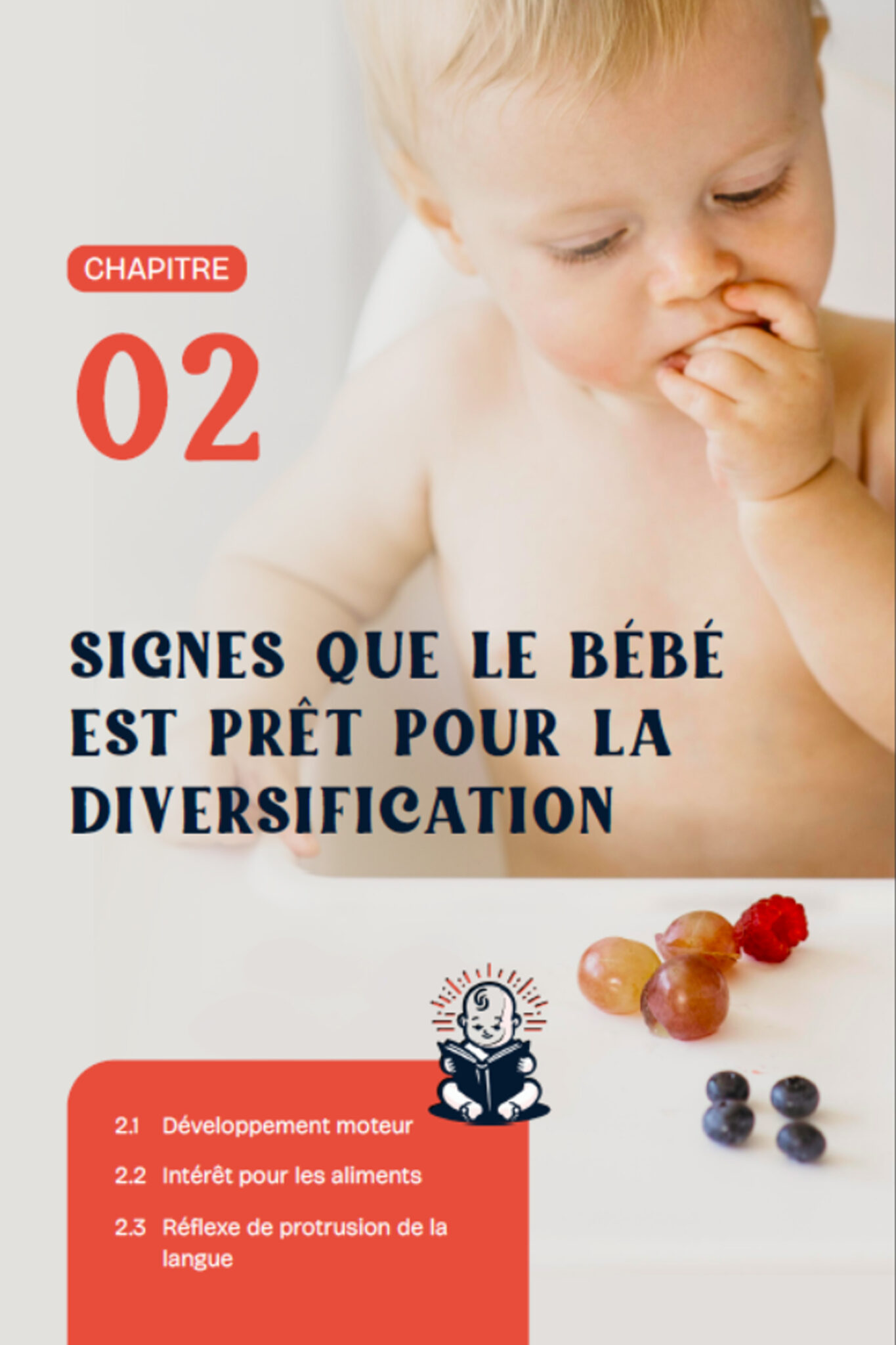 Diversification alimentaire | Le guide complet de A à Z